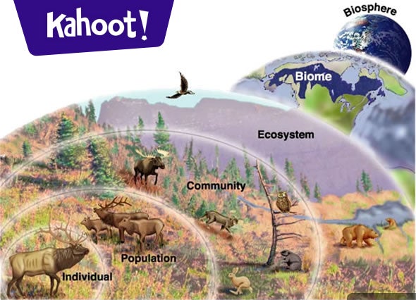 Ecology: Levels of Organization - 8th grade - Kahoot! Quiz