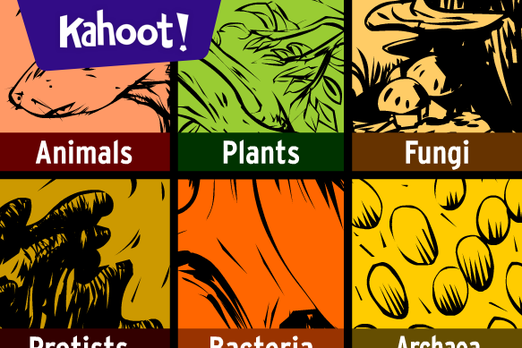 Classification - Kahoot! Quiz