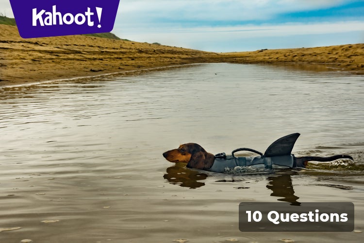 Animal Facts - Kahoot! Quiz