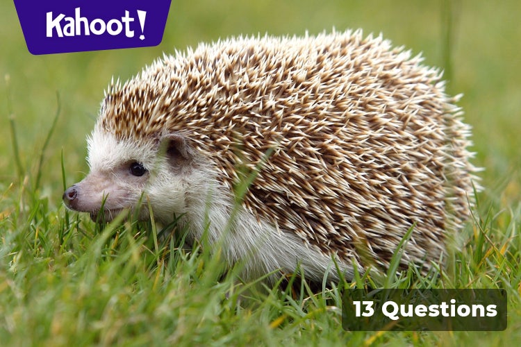 Animal groups - Kahoot! Quiz