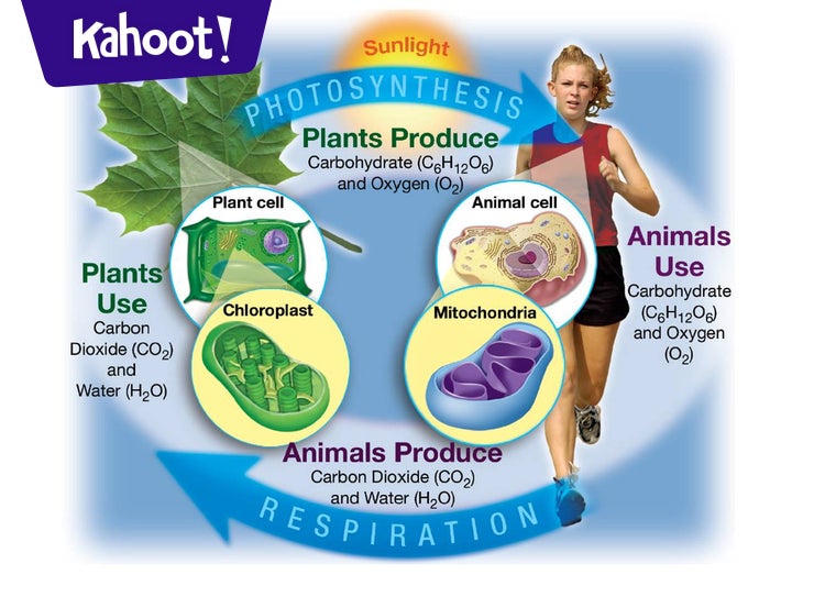 Cellular Energy Review Game - Kahoot! Quiz