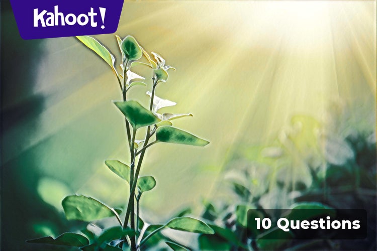 Plant Metabolism - Kahoot! Quiz