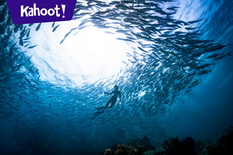 Nutrition - Fish - Kahoot! Quiz