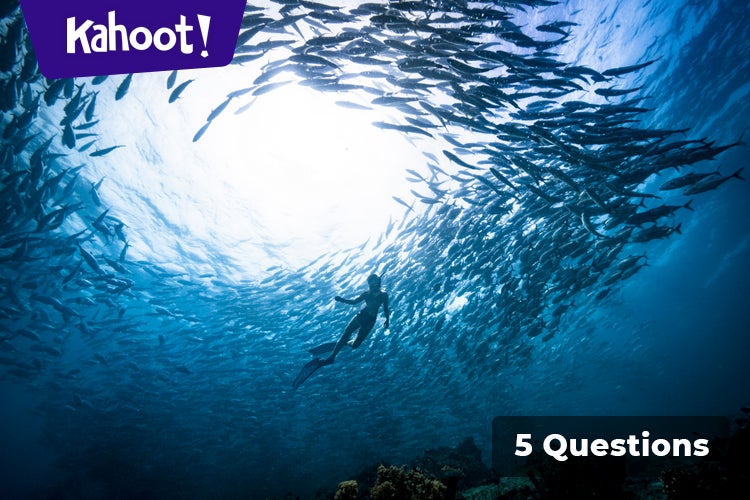 3 Removing Dams to Help Fish and People - Readworks - Kahoot! Quiz