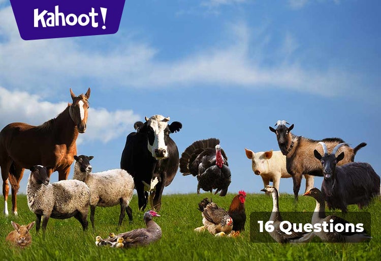 Farm animals - Kahoot! Quiz