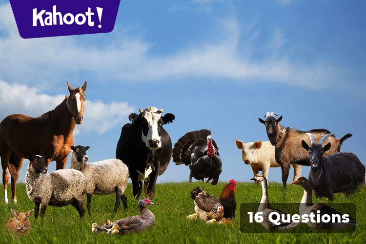 Farm animals - Kahoot! Quiz