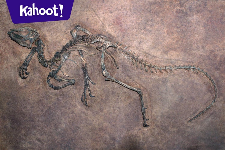 Fossils - Kahoot! Quiz