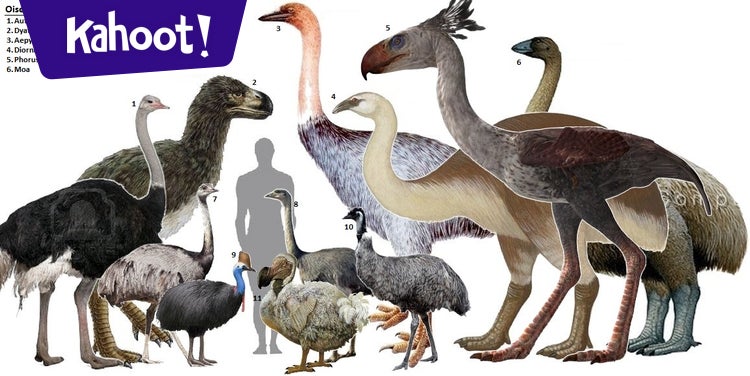 Evolution terms - Kahoot! Quiz