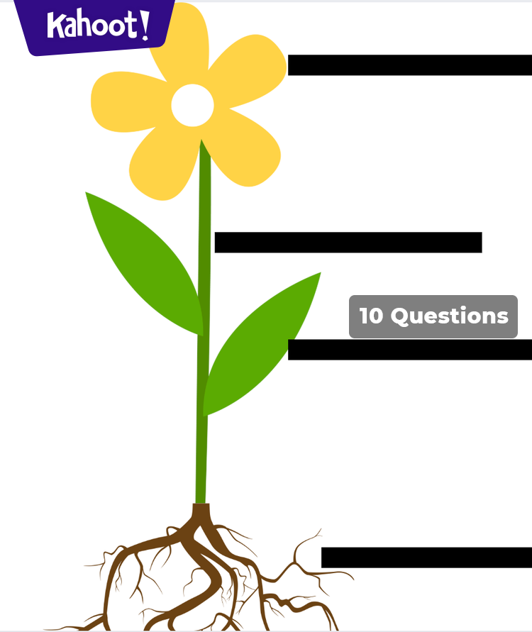 Plants Needs - Kahoot! Quiz