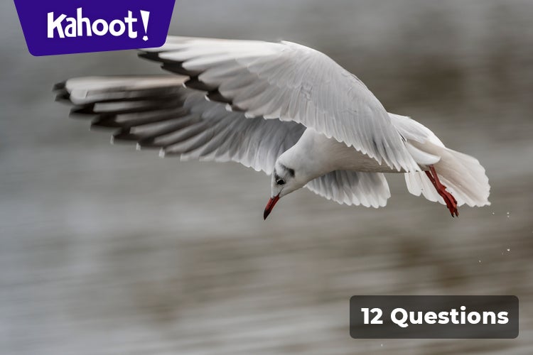Coastal life - Kahoot! Quiz