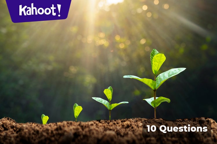 The Life Cycle of a Plant. - Kahoot! Quiz