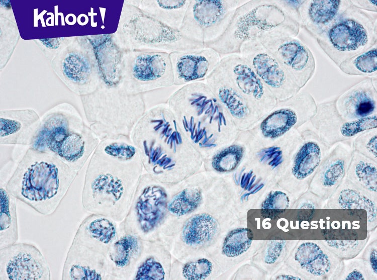 5e Le Corps Humain - Les Cellules - Kahoot! Quiz