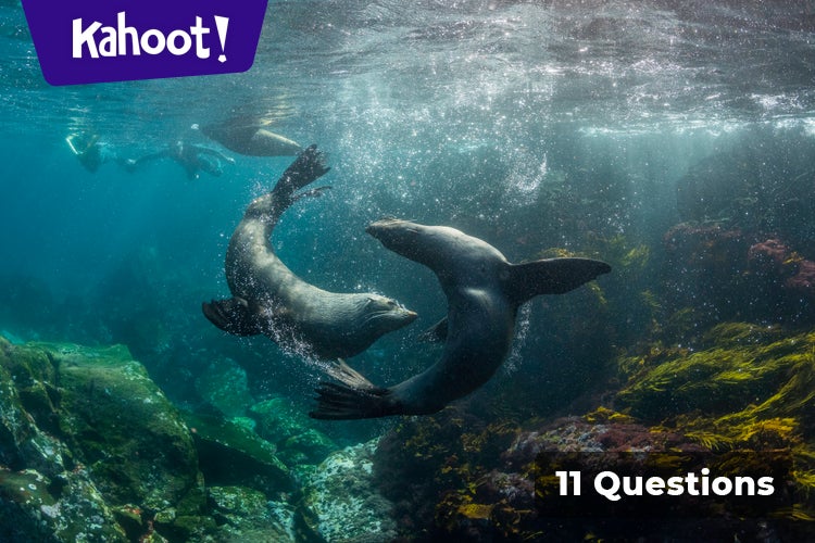 Learn about the Pacific Ocean - Kahoot! Quiz