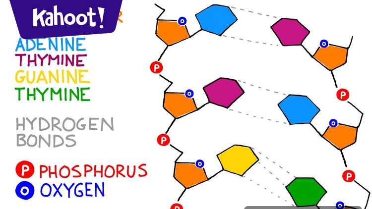 DNA, Chromosomes and Genes - Kahoot! Quiz