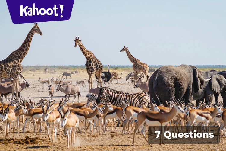 animals - Kahoot! Quiz