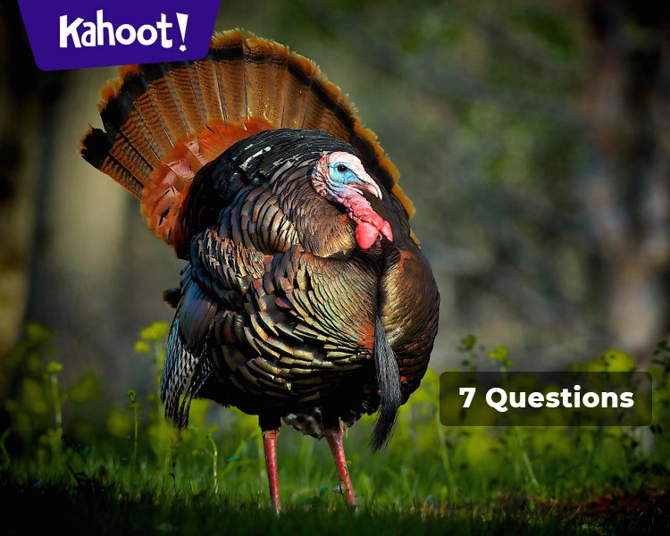 Feed a Turkey Week - Kahoot! Quiz