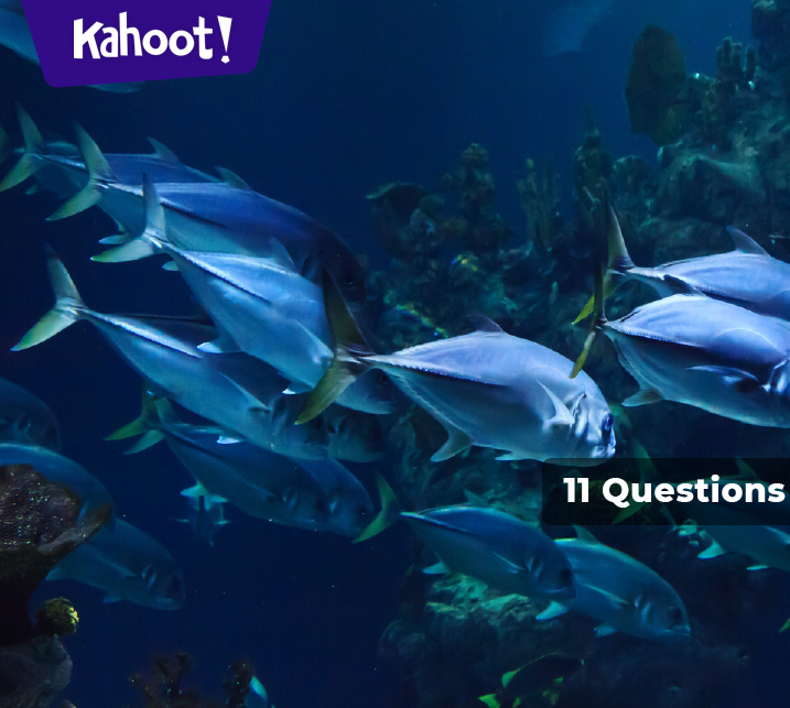 Séance 5 : Les ressources naturelles de l’océan - Kahoot! Quiz