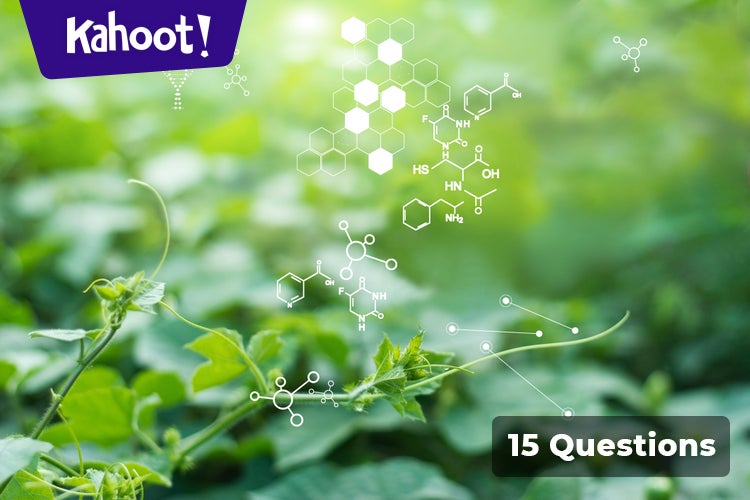 Plants Structure Review - Kahoot! Quiz