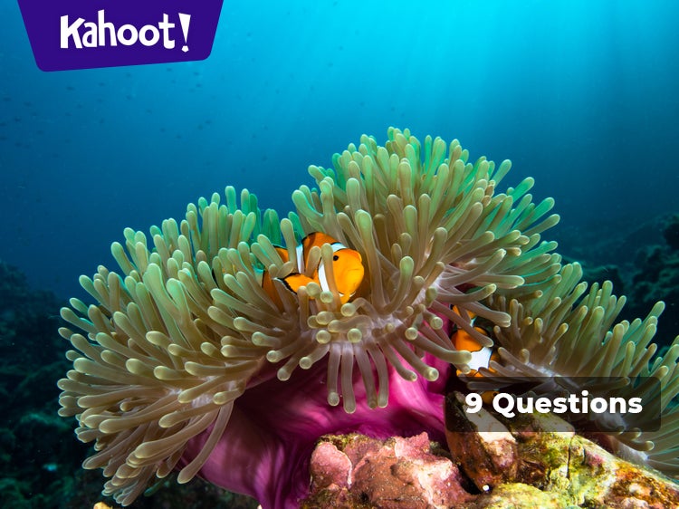 Ocean Ecosystems (CK) - Kahoot! Quiz