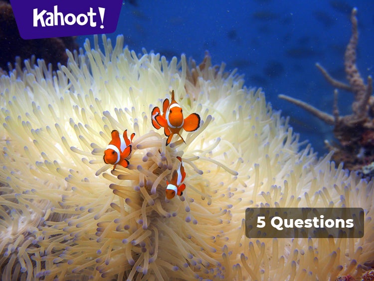 Marine Ecosystems - Kahoot! Quiz