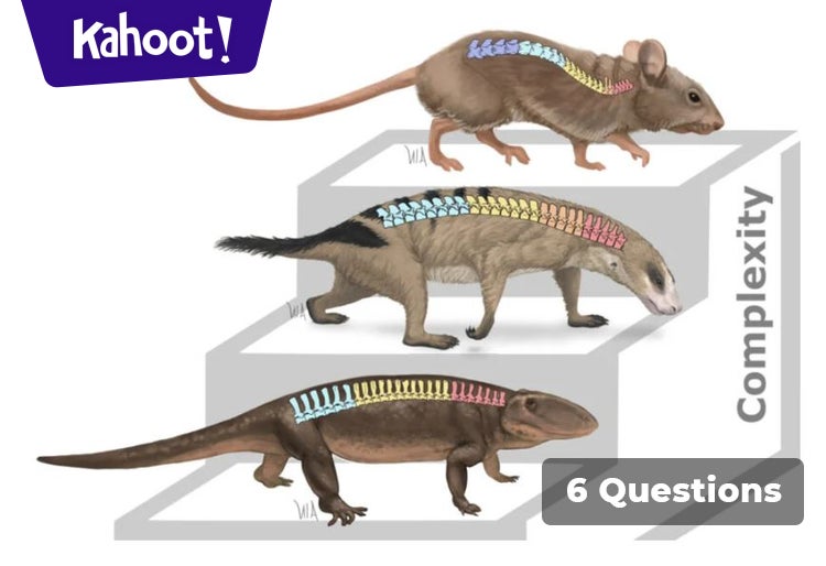 Evidence of Evolution (SI) - Kahoot! Quiz