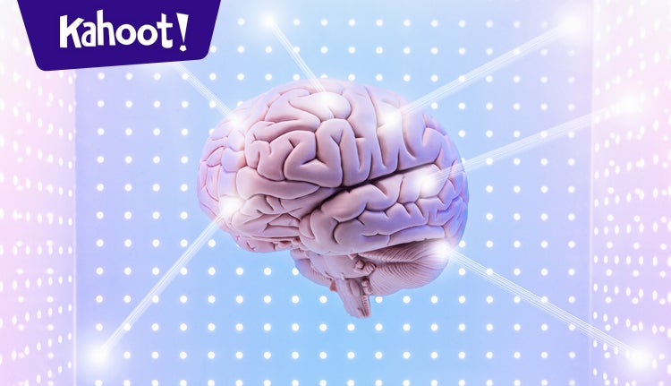 Human Brain 🧠 Anatomy + Nerves - Kahoot! Quiz