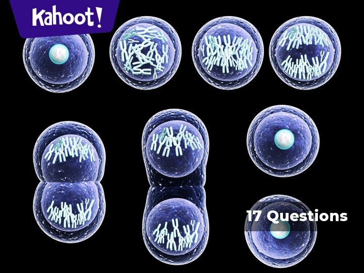 The Cell Cycle - Kahoot! Quiz