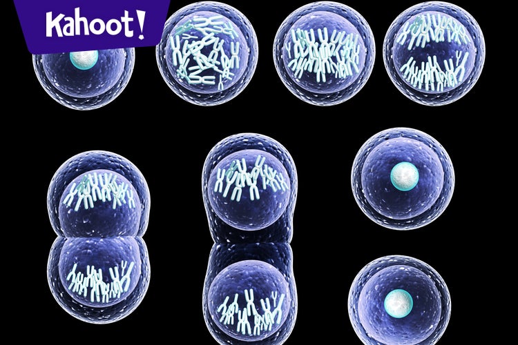 Cell structure histology (Dr. I) - Kahoot! Quiz