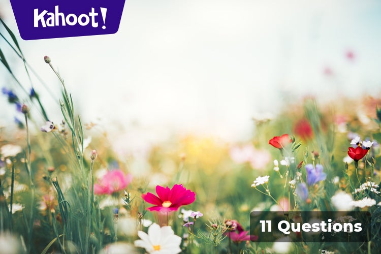 Yippee 3 kappale 17 - Kahoot! Quiz