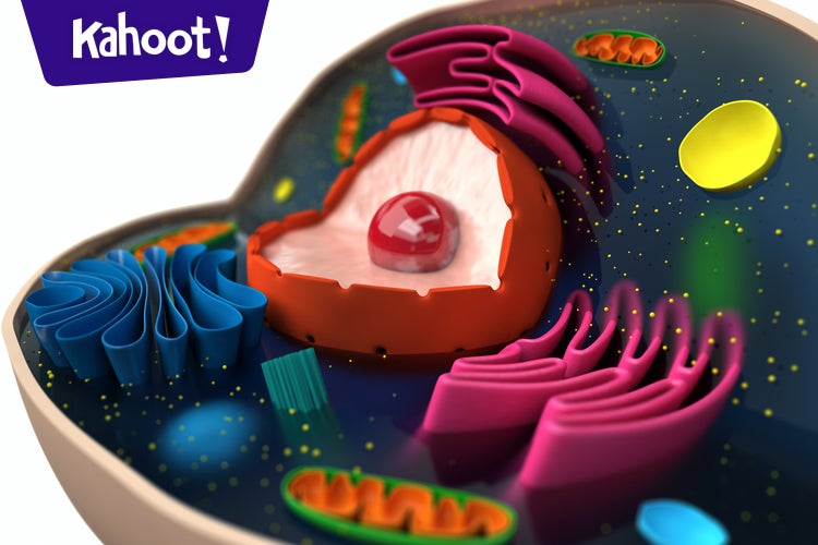 Chapter 2: Cell Structure - Kahoot! Quiz