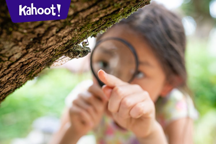 Unit 3: Aritcles "a" and "an" - Kahoot! Quiz