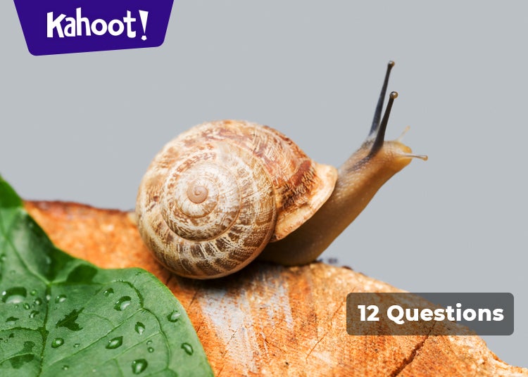 ingredients in French Cuisine - Kahoot! Quiz