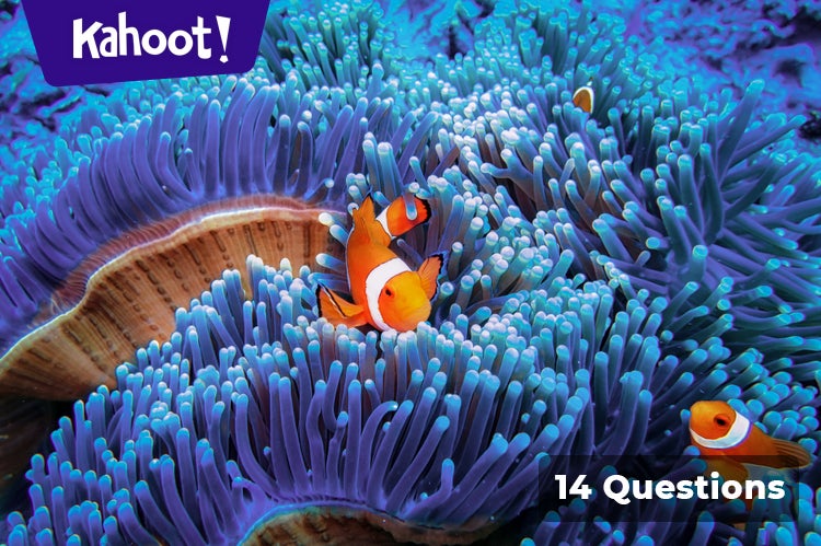 Ocean Science: The Chemistry and Ecology of Seawater - Kahoot! Quiz