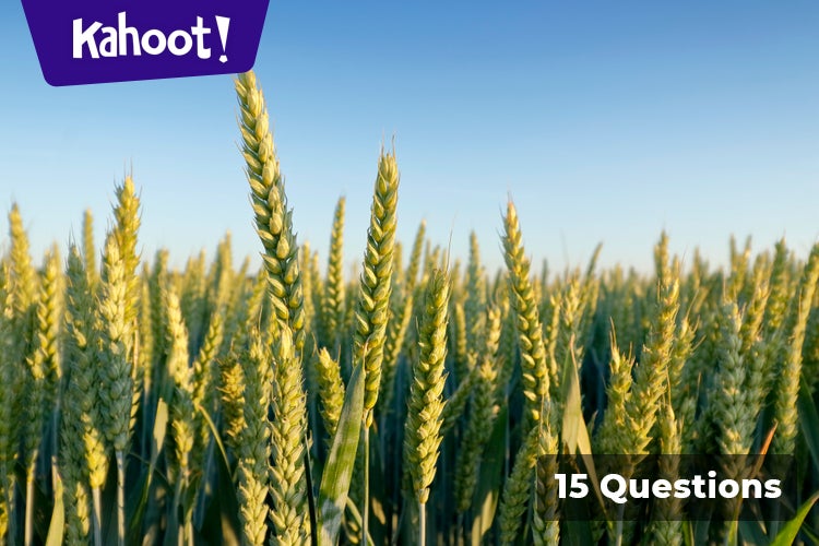 Improvement in Food Resources | Grade 9 - Kahoot! Quiz