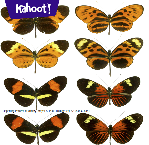 Duplicate of 2: Natural Selection and Mutations - Kahoot! Quiz