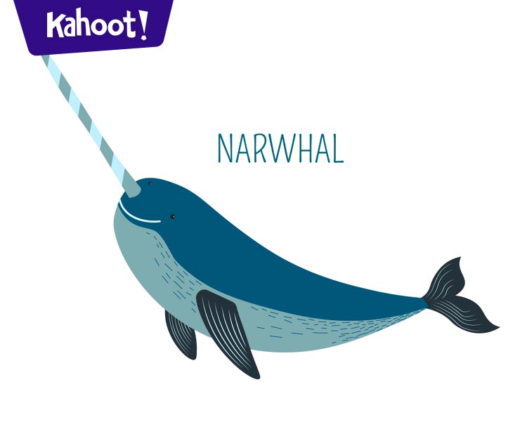 Magic Tree House| Narwhal on a Sunny Night| Chapters 5-7 Summary ...