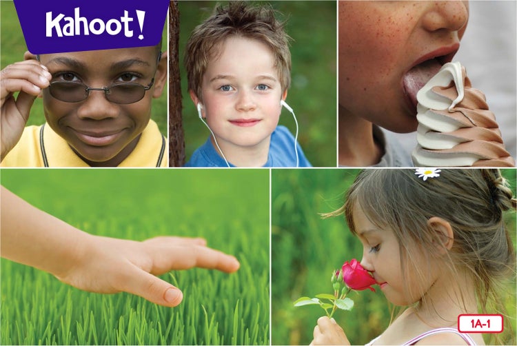 CKLA Knowledge 2: The Five Senses - Kahoot! Quiz