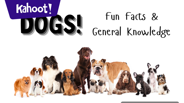 All about DOGS! Fun Facts & General Knowledge Trivia - Kahoot! Quiz