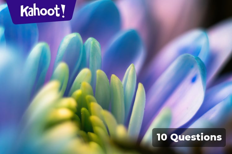 Plant Part Functions - Kahoot! Quiz