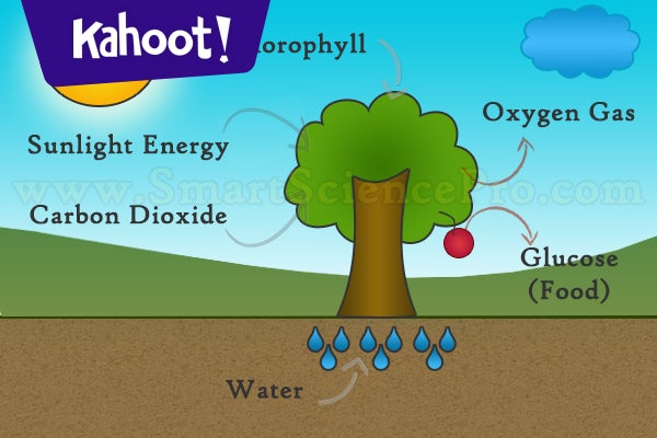 Carbon Cycle Review - Kahoot! Quiz
