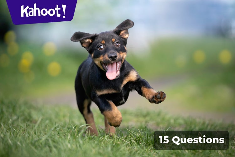 Chap 7: Dogs 1 - Kahoot! Quiz