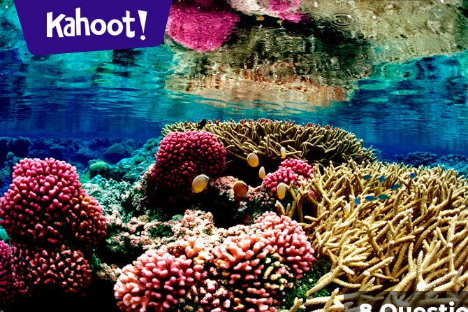 Duplicate of Ocean Animals - Kahoot! Quiz