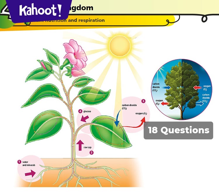 The Plant Kingdom - Kahoot! Quiz