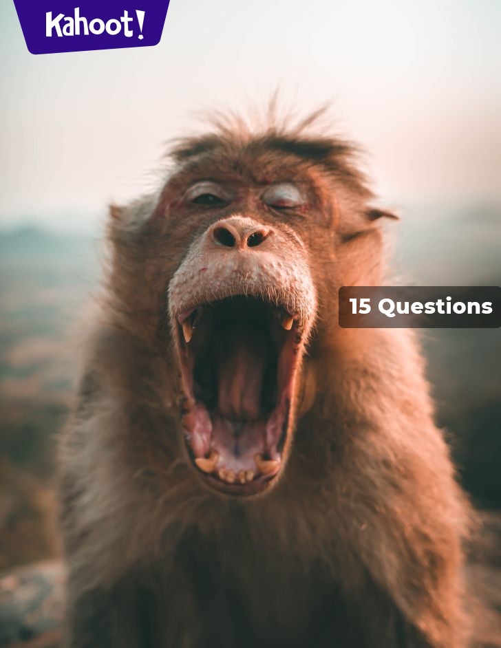 Food and Personality vocabulary revision - Kahoot! Quiz