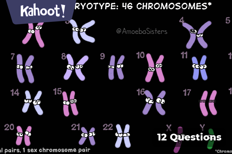 # of Chromosomes in Organisms (Spring 2024) - Kahoot! Quiz