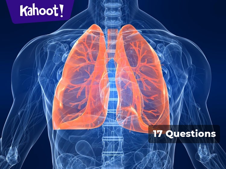 RAD 221 - Respiratory Exam Review - Kahoot! Quiz