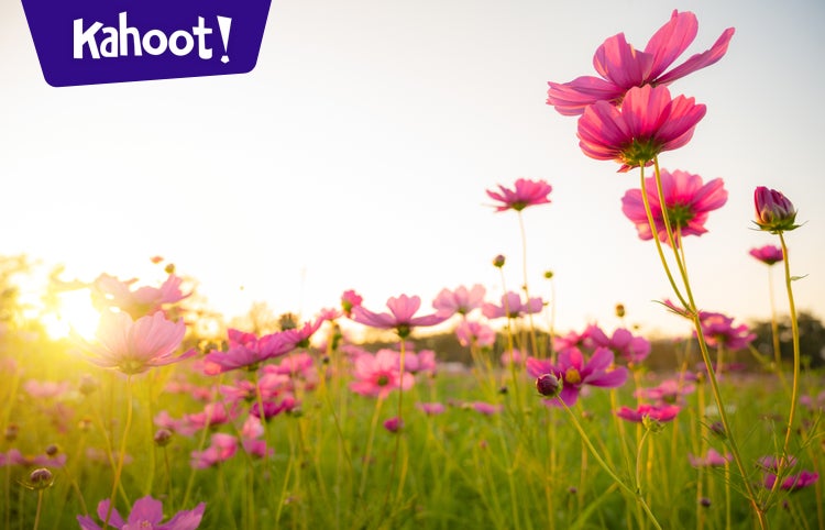 HCT B1 List 3B(Spring) - Kahoot! Quiz