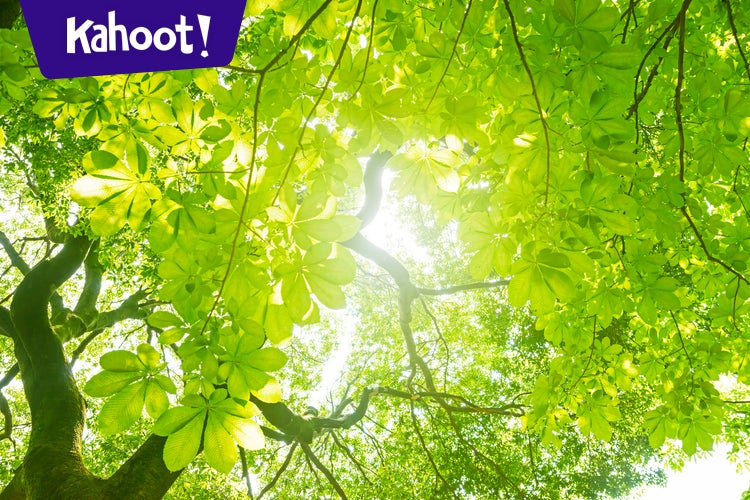 2- Energy, Matter, and Life Vocabulary Review - Kahoot! Quiz