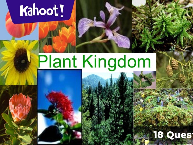 Life Science: The Plant Kingdom - Kahoot! Quiz