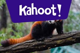 All About Red Pandas! 🐾 | Learn & Explore for Lower Elementary - Kahoot ...